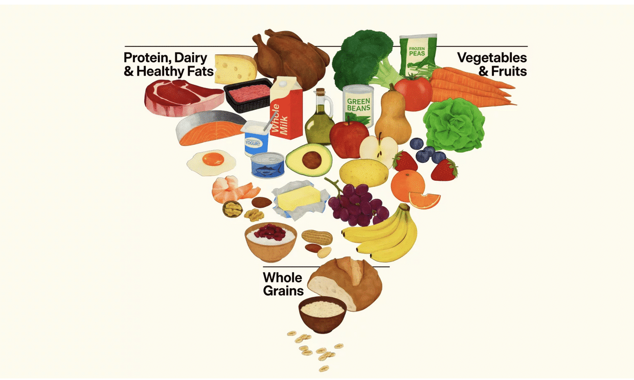 What the New Food Pyramid Means for Gut Health | Neumann Nutrition ...